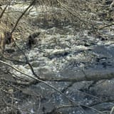 Point Douglas Trail, Minnesota - 257 Reviews, Map | AllTrails