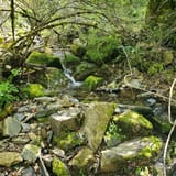 Old Flume Trail (Red Shack Trail), California - 810 Reviews, Map ...