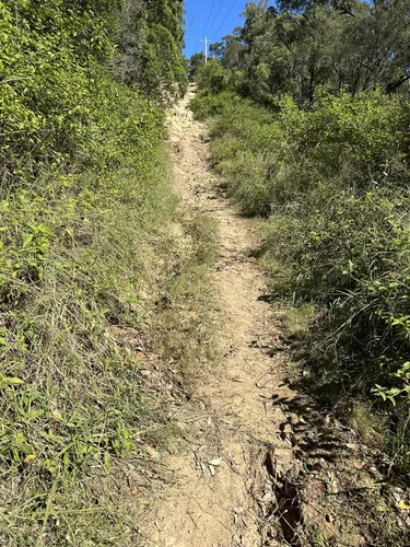 Best Hikes and Trails in Awaba State Forest | AllTrails