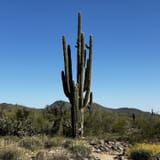 Gateway Loop Trail, Arizona - 11,771 Reviews, Map | AllTrails