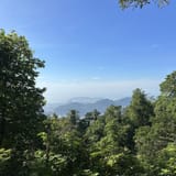 Penang Hill via Moongate - Wild Boar - Moniot, Penang, Malaysia - 278 ...