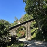 Penang Hill via Moongate - Wild Boar - Moniot, Penang, Malaysia - 278 ...