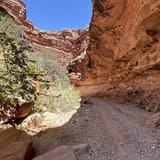 Havasupai Trail to Supai, Arizona - 1,166 Reviews, Map | AllTrails