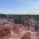 Babylon Arch Trail, Utah - 1,034 Reviews, Map | AllTrails