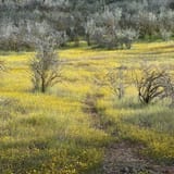 Overlook, Soaproot, and Old Stage Loop, California - 333 Reviews, Map ...