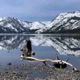 Fallen Leaf Lake Trail, California - 1,185 Reviews, Map | AllTrails