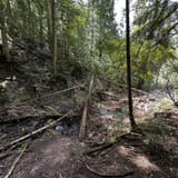 Headwaters Trail, Idaho - 813 Reviews, Map | AllTrails