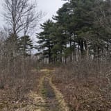 Shuman Blue Loop, Pennsylvania - 1,061 Reviews, Map | AllTrails