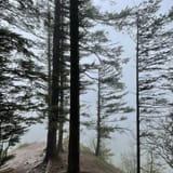 Cape Horn Loop Trail, Washington - 4,396 Reviews, Map | AllTrails