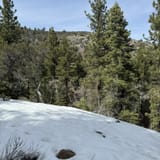 Dry Pond Loop, Nevada - 1,461 Reviews, Map | AllTrails
