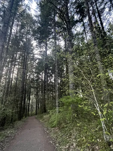 Best Hikes and Trails in Cooper Mountain Nature Park | AllTrails