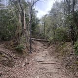 Mount Atago Loop, Kyoto, Japan - 182 Reviews, Map | AllTrails