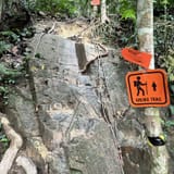 Bukit Dinding via Kazumi Trail, Kuala Lumpur, Malaysia - 38 Reviews ...