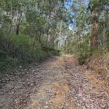 Pages Pinnacle , Queensland, Australia - 1,354 Reviews, Map | AllTrails