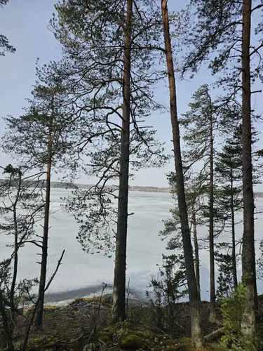 Best Lake Trails in Lohja | AllTrails
