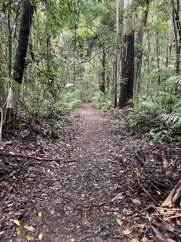 Best Historic Site Trails in Mount Mee | AllTrails