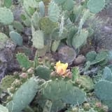 Monument Canyon and Broadway Cave via Jacob's Trail, Arizona - 3,413 ...