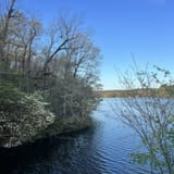 Lake Wedington Hiking Trail, Arkansas - 651 Reviews, Map | AllTrails
