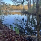 Lake Wedington Hiking Trail, Arkansas - 651 Reviews, Map | AllTrails