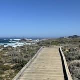 Asilomar State Beach and Coast Trail, California - 913 Reviews, Map ...