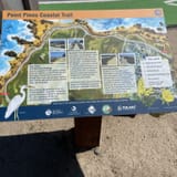 Asilomar State Beach and Coast Trail, California - 913 Reviews, Map ...