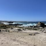 Asilomar State Beach and Coast Trail, California - 913 Reviews, Map ...