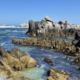 Asilomar State Beach and Coast Trail, California - 913 Reviews, Map ...
