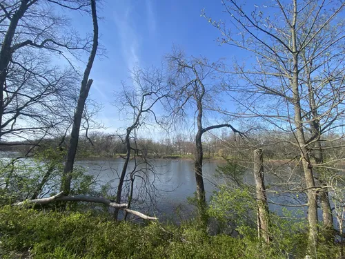 Best Forest Trails in Delaware & Raritan Canal State Park | AllTrails