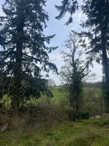 Best Wild Flowers Trails in Hulme Park | AllTrails