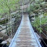 Tanyard Perimeter Loop, Arkansas - 2,700 Reviews, Map | AllTrails