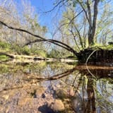 Tanyard Perimeter Loop, Arkansas - 2,700 Reviews, Map | AllTrails