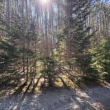 Midhurst Trail , Ontario, Canada - 1,544 Reviews, Map | AllTrails