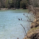 Midhurst Trail , Ontario, Canada - 1,544 Reviews, Map | AllTrails