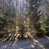 Midhurst Trail , Ontario, Canada - 1,544 Reviews, Map | AllTrails