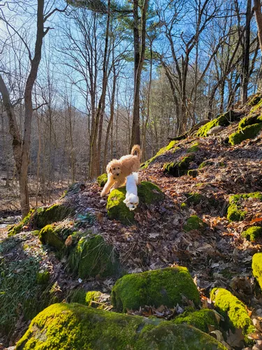 Best Short Trails in Governor Dodge State Park | AllTrails