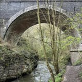 Chee Dale Gorge Circular, Derbyshire, England - 1,343 Reviews, Map ...