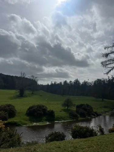 Best Wild Flowers Trails in Hulme Park | AllTrails