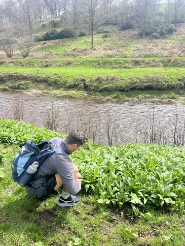 Best Wild Flowers Trails in Hulme Park | AllTrails
