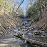 Tinker Falls Trail, New York - 552 Reviews, Map | AllTrails