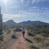 Coon Bluff Trail, Arizona - 775 Reviews, Map | AllTrails