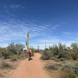 Coon Bluff Trail, Arizona - 775 Reviews, Map | AllTrails