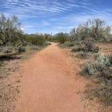 Coon Bluff Trail, Arizona - 775 Reviews, Map | AllTrails