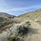 Keystone Canyon Trail, Nevada - 1,211 Reviews, Map | AllTrails