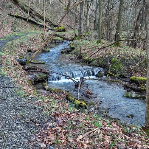 Best Hikes and Trails in Wind Ridge | AllTrails