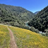 Windy Point Trail, California - 294 Reviews, Map | AllTrails