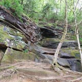 Raven Rock Loop Trail, North Carolina - 2,572 Reviews, Map | AllTrails