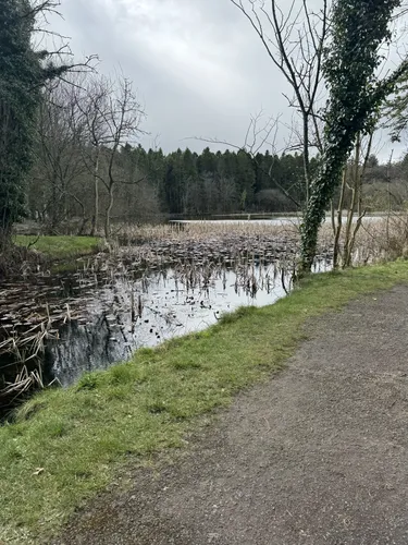 Best Hikes and Trails in Donadea Forest Park | AllTrails