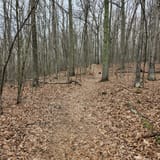 Shuman Blue Loop, Pennsylvania - 1,061 Reviews, Map | AllTrails