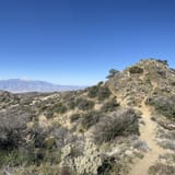 Panorama Loop, California - 2,903 Reviews, Map | AllTrails