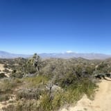 Panorama Loop, California - 2,916 Reviews, Map | AllTrails